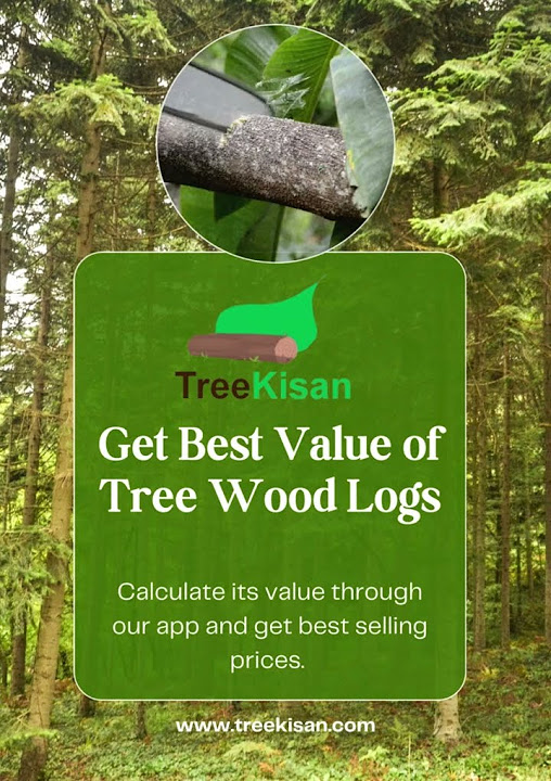Best Tree Value Calculator App for Tree Kisan - #treefarming #kisan #shorts #youtubeshorts # ...