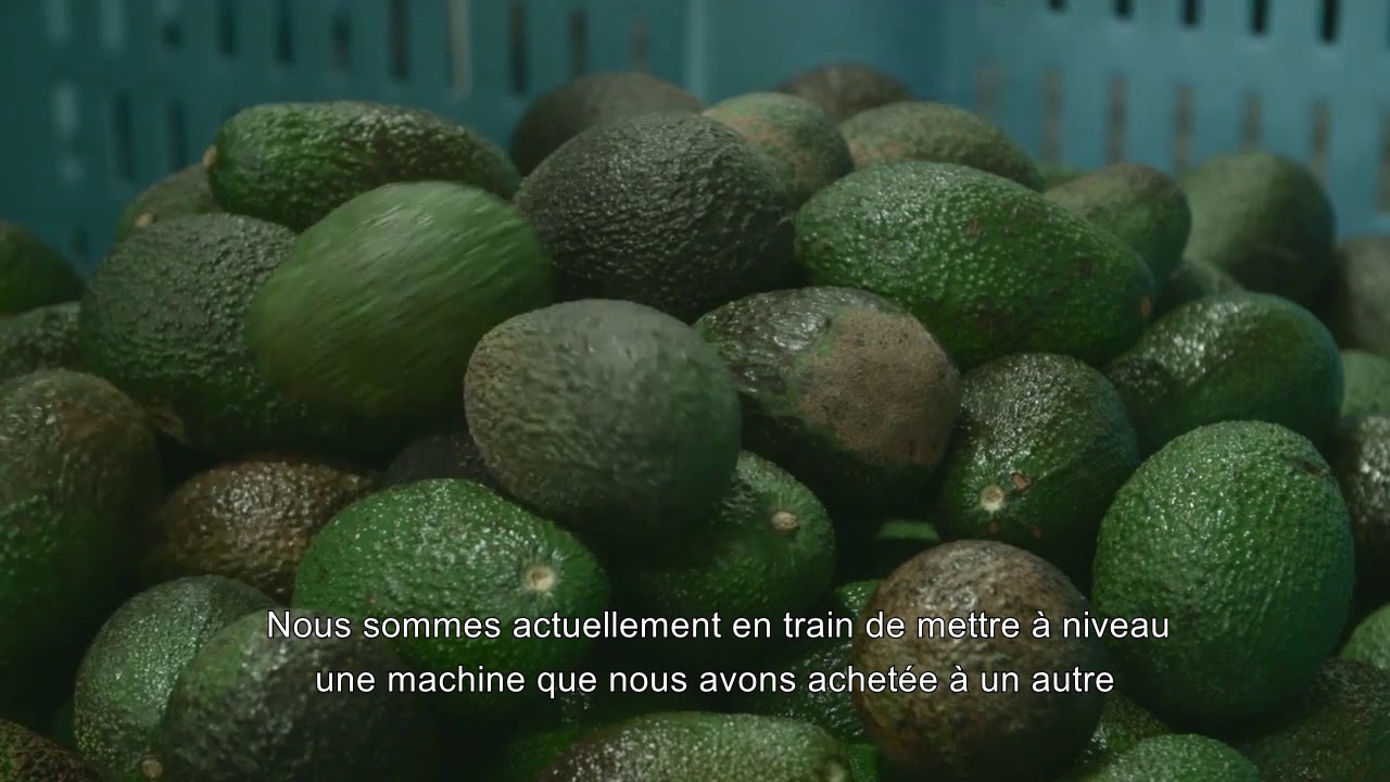 Compac Avocado Case Study Westpak FR - YouTube