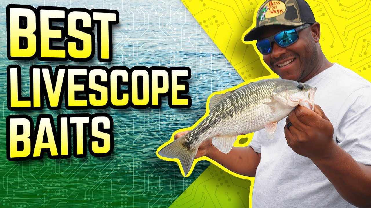 Best LiveScope Baits | Mark Daniels Jr. - YouTube