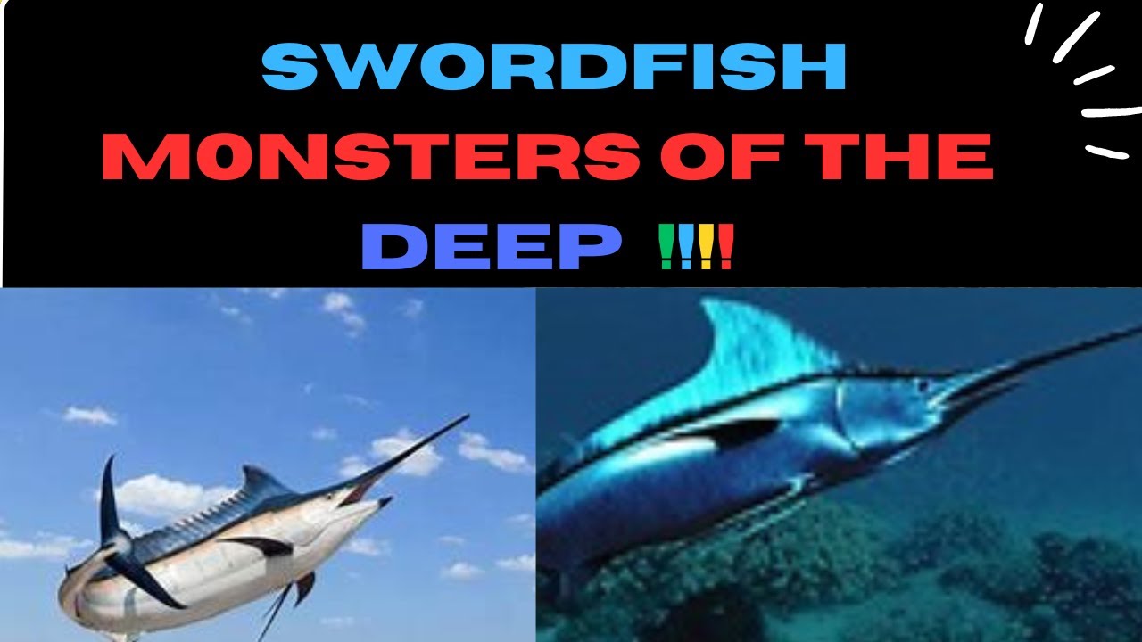 De@dly Giant SWORDFISH-THE IMPALER OF THE DEEP! #sea #swordfish # ...