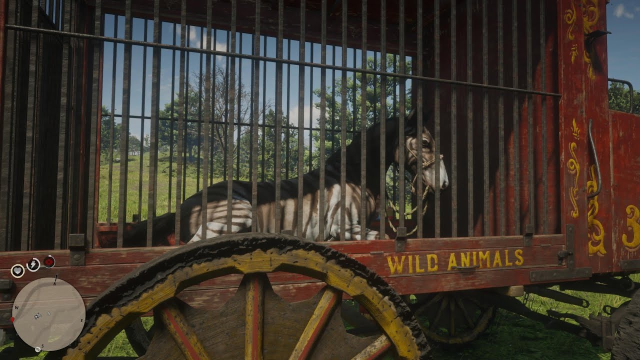Finding the circus Zebra(mule)Part-1//Red dead redemption II//4K HDR ...