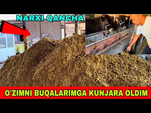 KUNJARA KEPAK NARXLARI 91-683-17-30 O’ZIMNI BUQALARIMGA YOG’LI KUNJARA ...