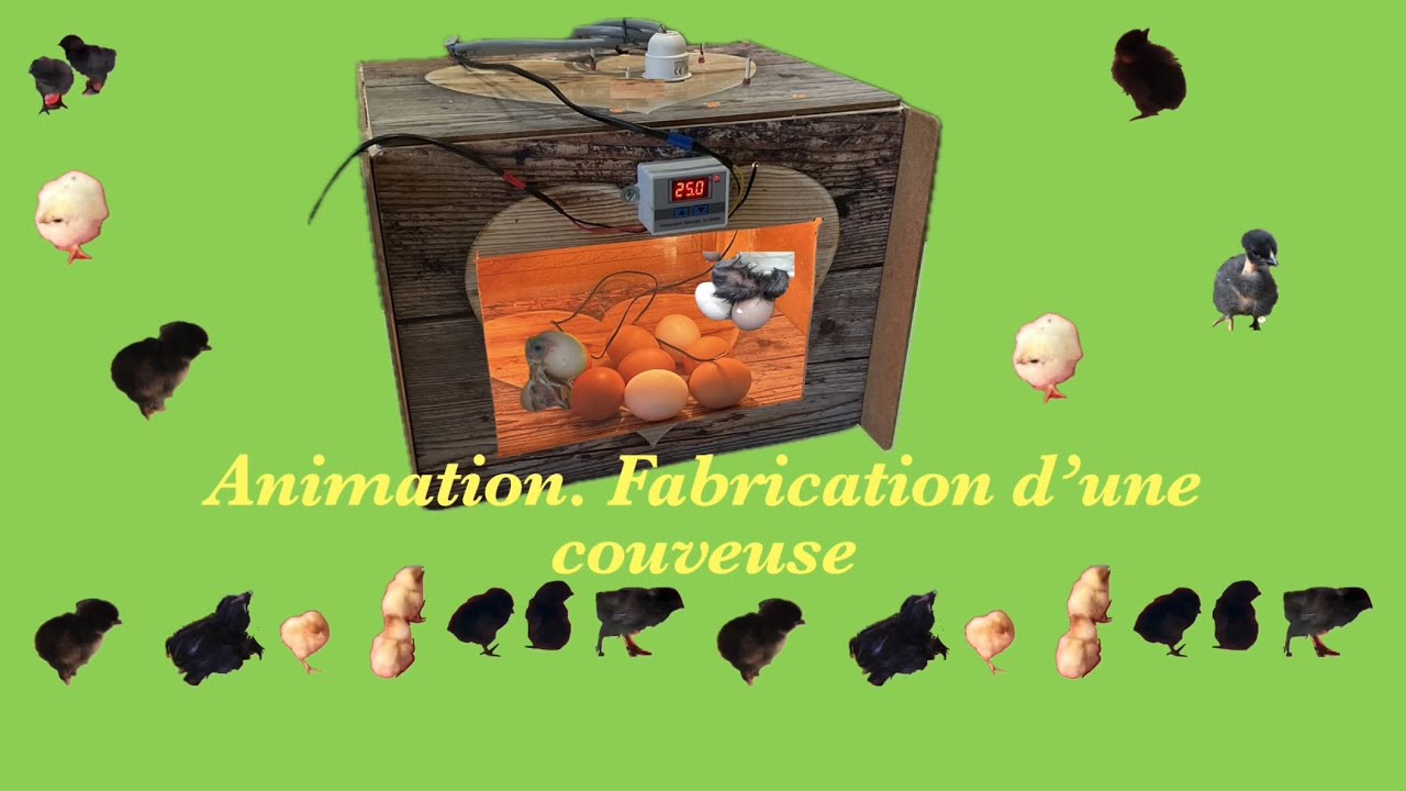 Tuto. Comment fabriquer rapidement un incubateur, couveuse à poussins ...
