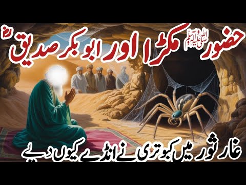 Story of Hazrat Muhammad saw and spider | cave of Thaur | islamic story ...