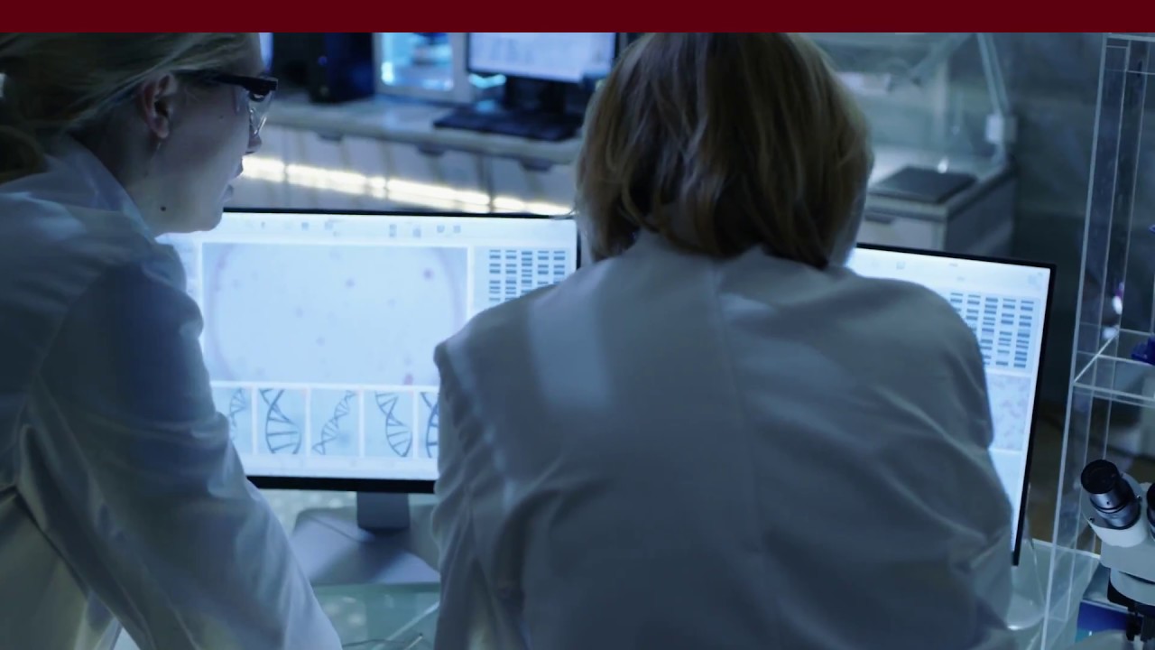 Evolving Human Capital through a Chicago Booth Executive MBA - YouTube