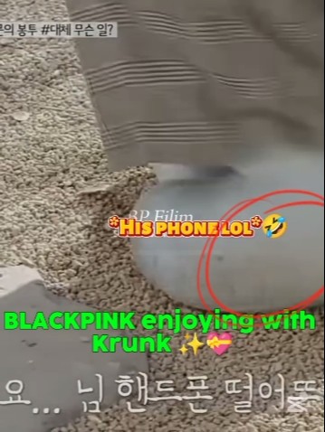 BP's reaction when they saw KRUNK for the 1st time!😂💗#blackpink #blink ...