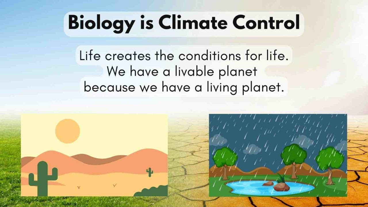 Biology is Climate Control | Natural Systems Cool Our Climate - YouTube