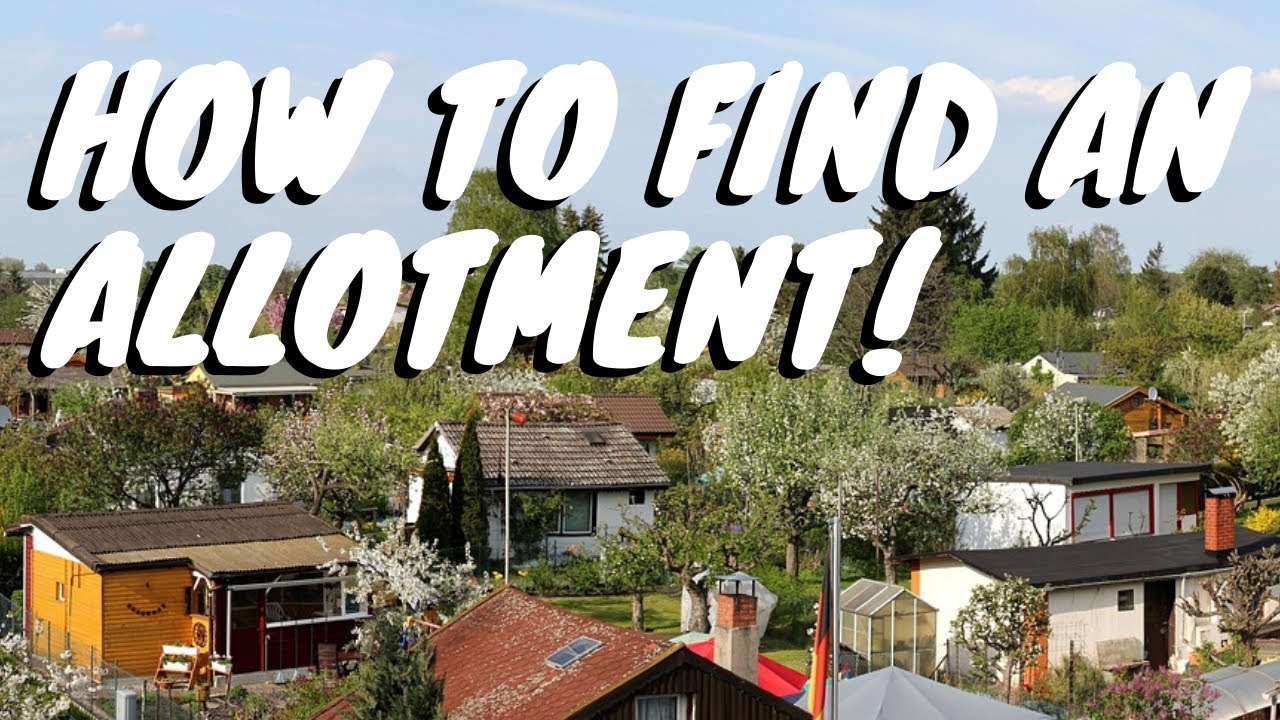 Getting an Allotment - Allotments for beginners - vegetable gardening ...