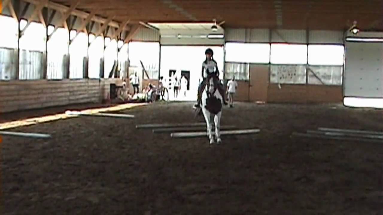 Butler Show Horses Summer Camp student presentation. - YouTube