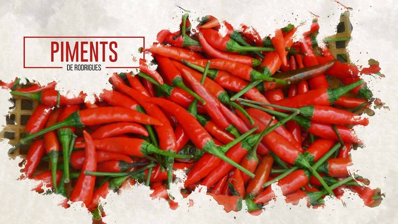 Le Ti Piment de Rodrigues | Un fruit au caractère unique de l'océan ...