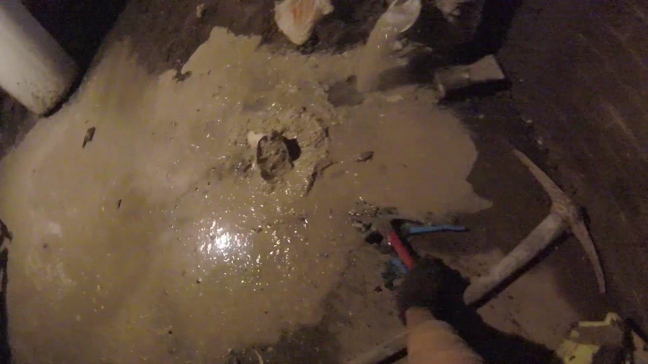 Shit explosion (literally) - YouTube
