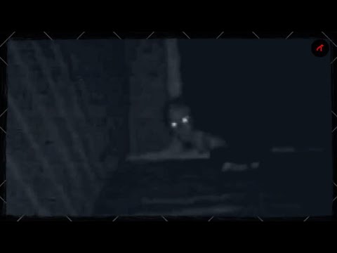 Top 5 Scary Encounters Caught on Camera - YouTube