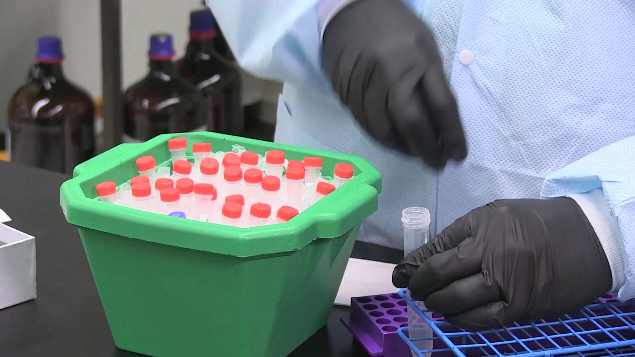 T2 CSF Processing Video - YouTube