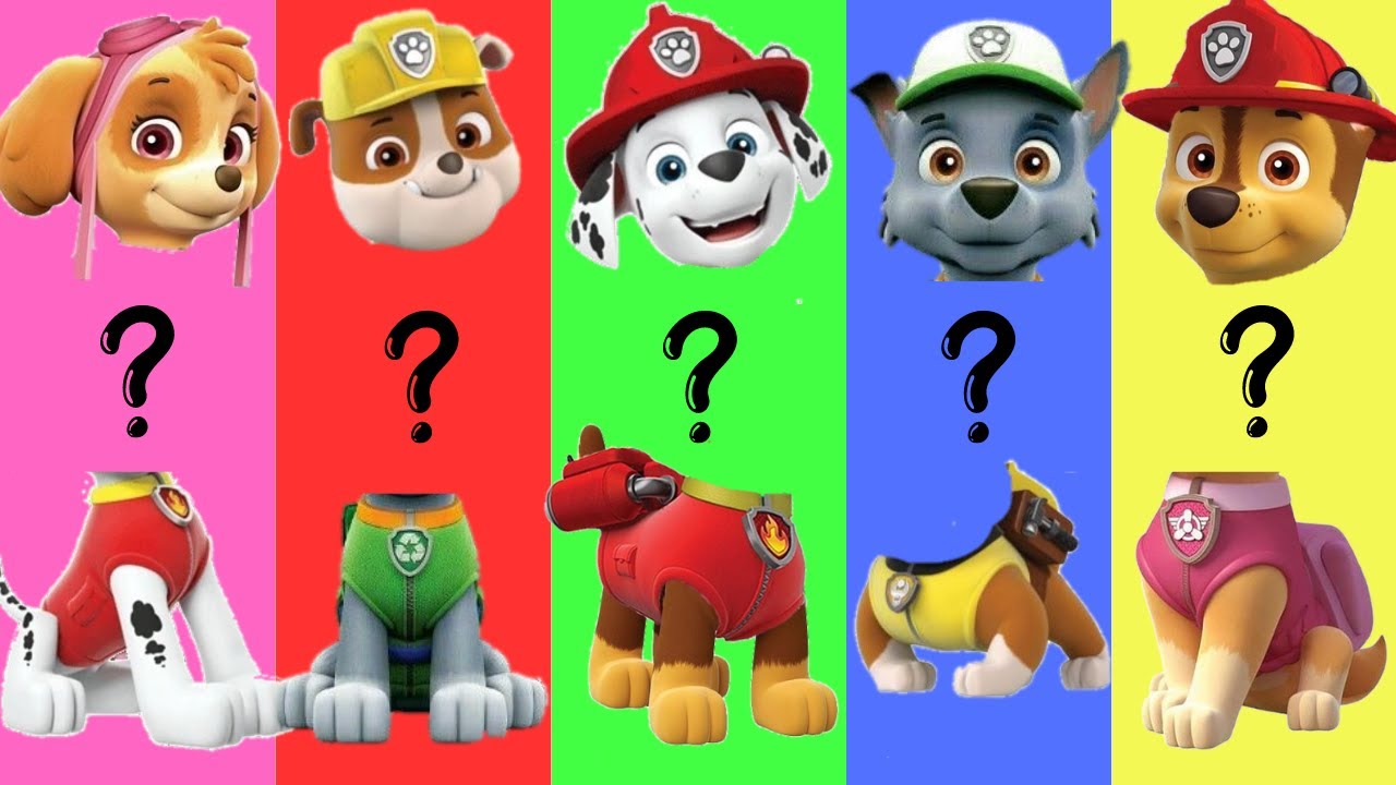 Paw Patrol | Match the Head | Video for kids | Patrulha Canina - YouTube