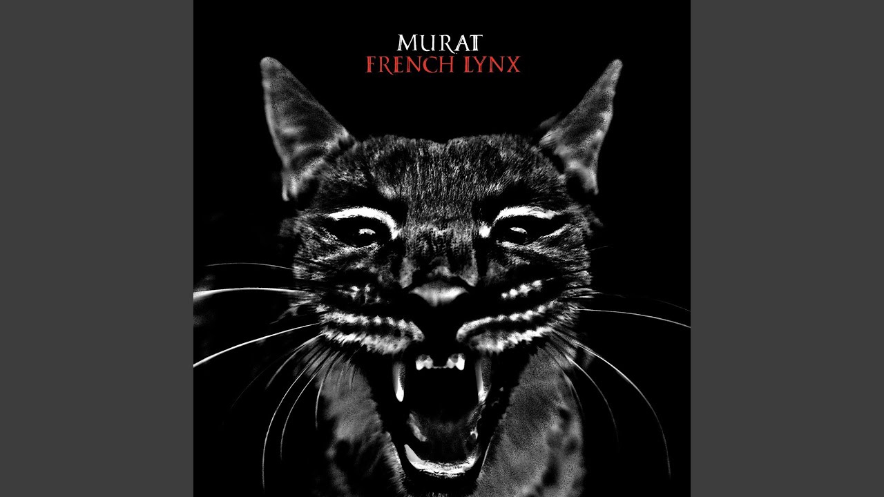 French Lynx - YouTube