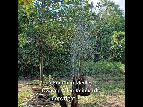 'A Fountain Medley' Dwayne Allen Reinhardt Copyright 2009 - YouTube