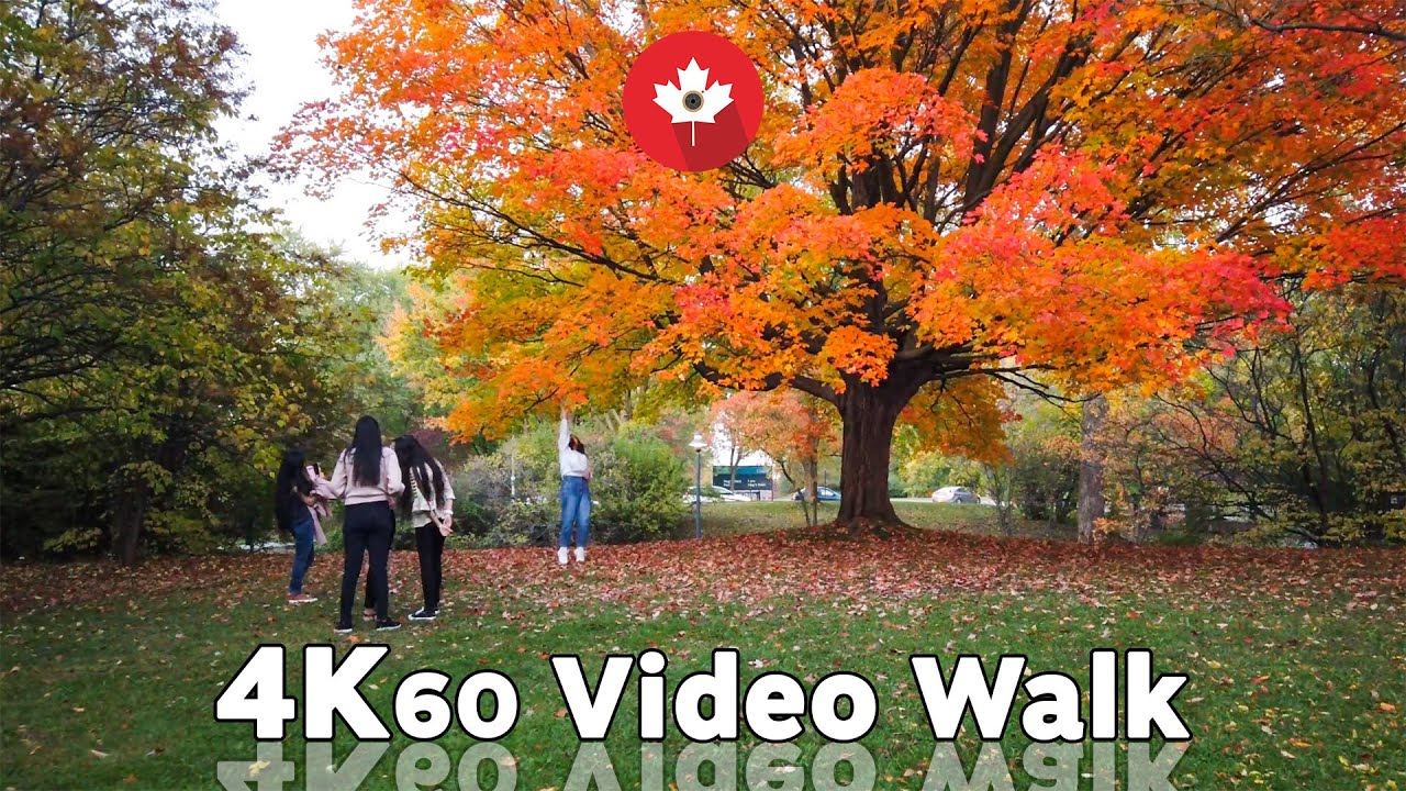 Beautiful Canadian Autumn Colors in OTTAWA | October 2021 4K Walk - YouTube