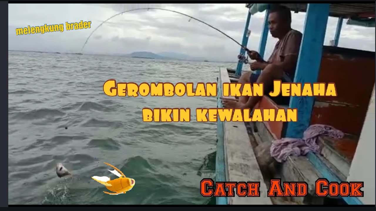 Mancing Ikan Jenaha || bottom fishing || fishing mania || mancing ikan ...