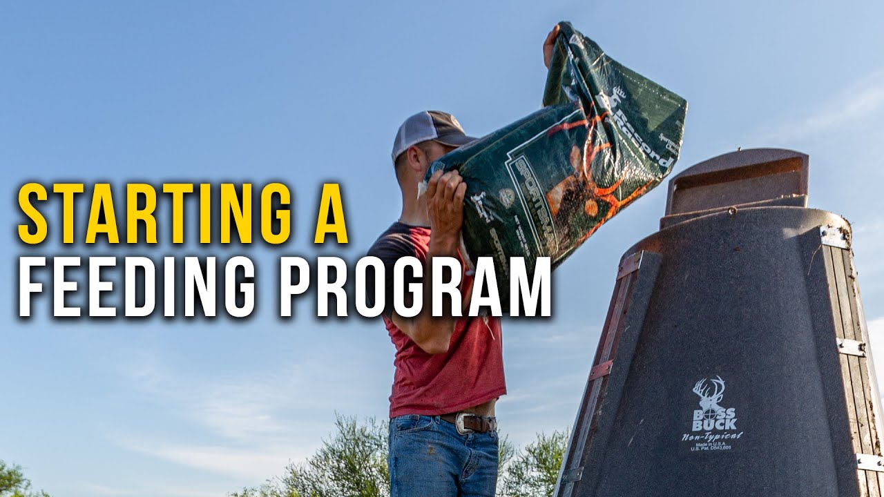 Starting a Supplemental Feeding Program with Record Rack - YouTube