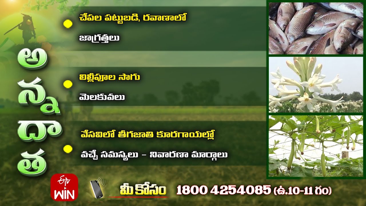 10th March 2024 | Annadata | అన్నదాత | Full Episode | ETV Telugu - YouTube