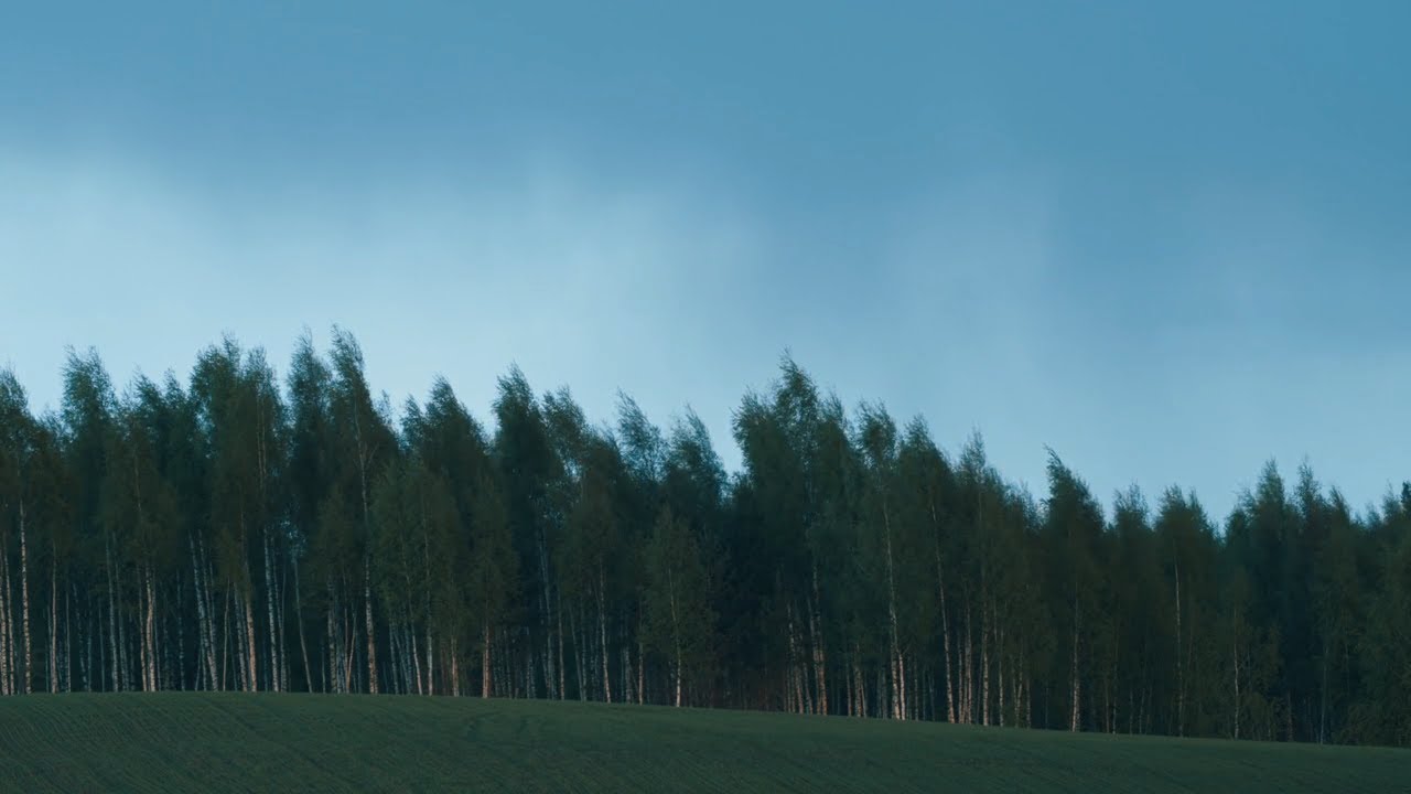 숲 (Forest) | 최유리 | Sarah Min | Cover - YouTube