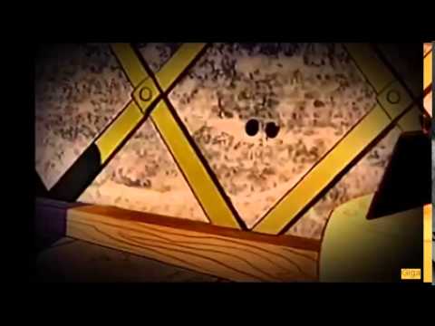 Tom And Jerry New Series - Love Me Love Me My Mouse - YouTube
