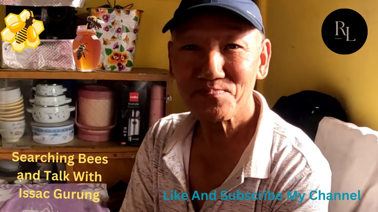 Absconding Bee Searching In The Jungle | Finding Bees | How to find bees in the jungle - YouTube
