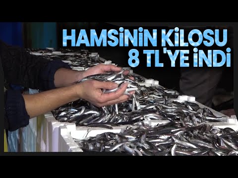 Limana Yüzlerce Kasa Hamsiyle Döndüler: Kilosu 8 Liraya İndi