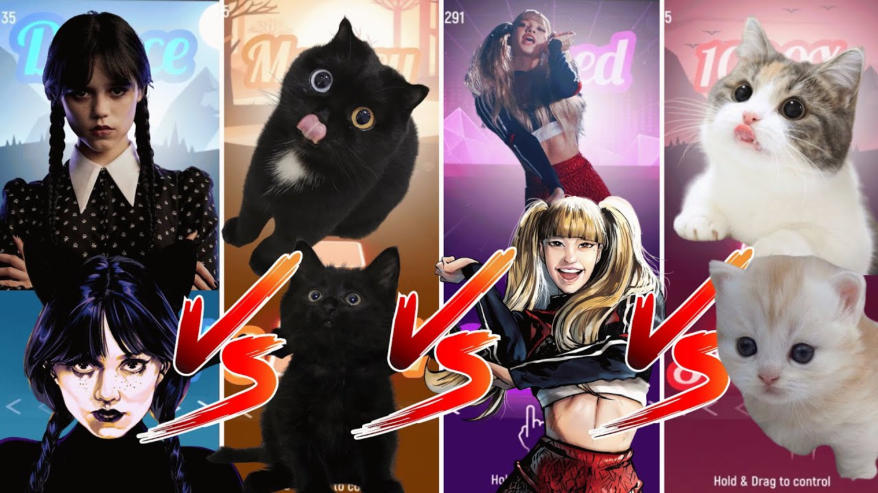 🔴 WEDNESDAY BLOODY MARY 🆚 WEDNESDAY CUTE CAT 🆚 LISA MONEY 🆚 CUTE CAT ...