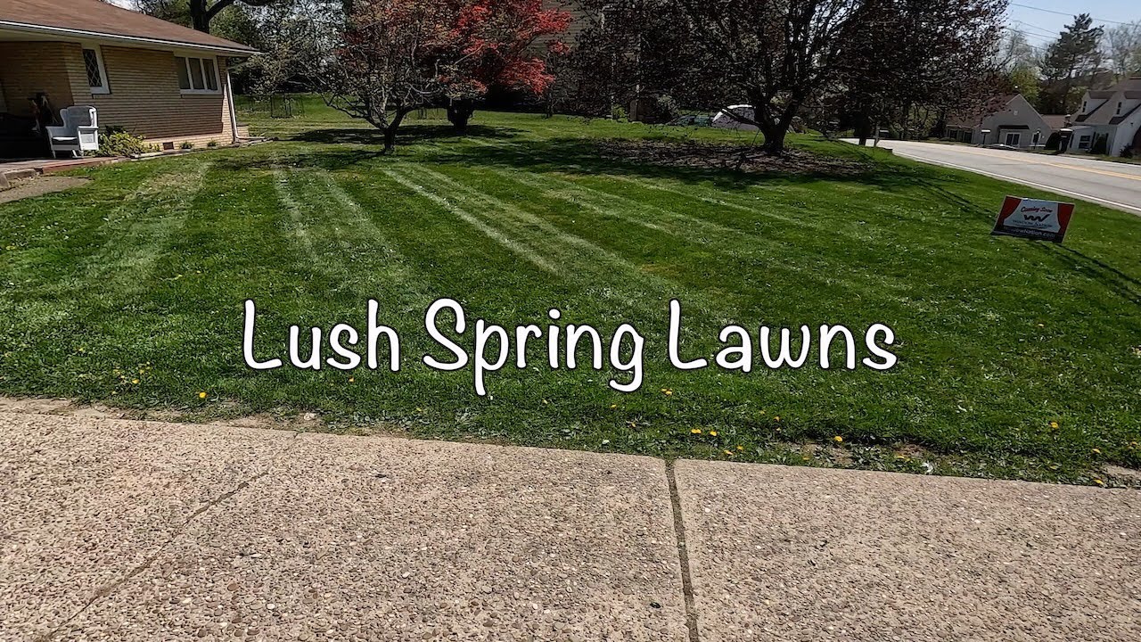 Cut, Trim & Blow Along BUSY Road ll Beautiful Spring Lawncare - YouTube