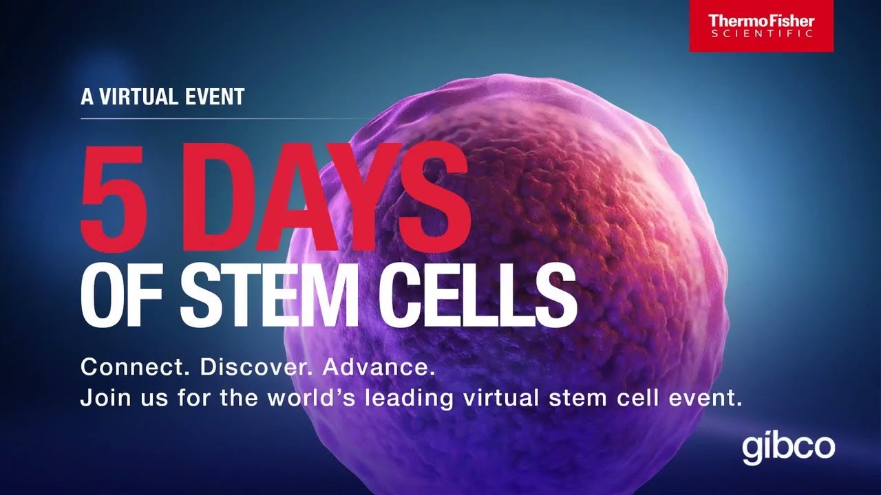 5 Days of Stem Cells - The world's leading virtual stem cell event ...