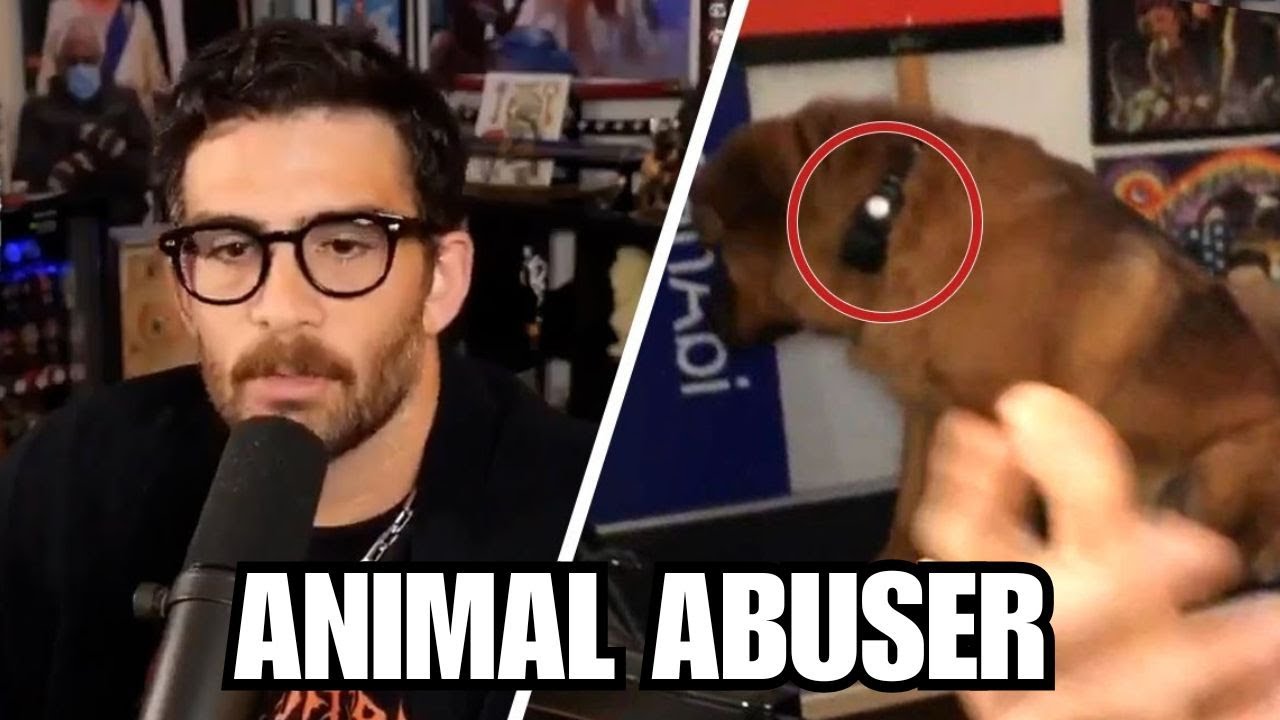 Twitch Streamer Hasan Piker Caught Shocking His Dog - YouTube