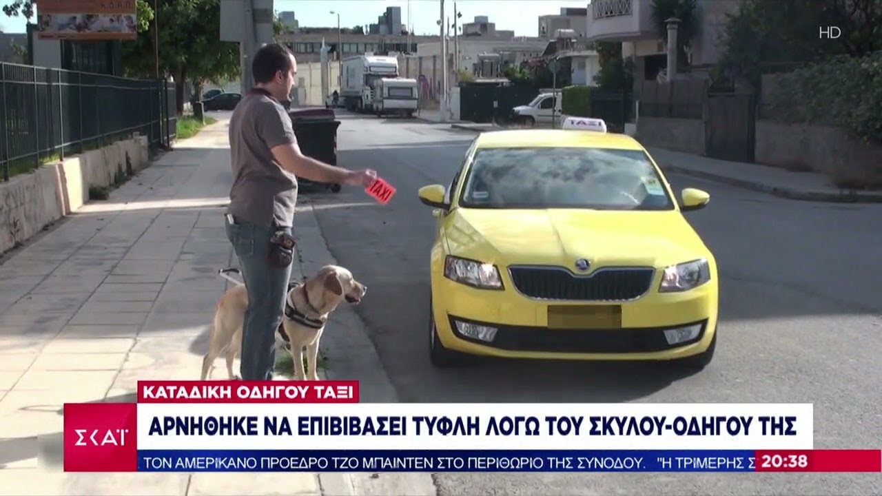 Καταδίκη οδηγού ΤΑΞΙ - Αρνήθηκε να επιβιβάσει τυφλή λόγο του σκύλου ...