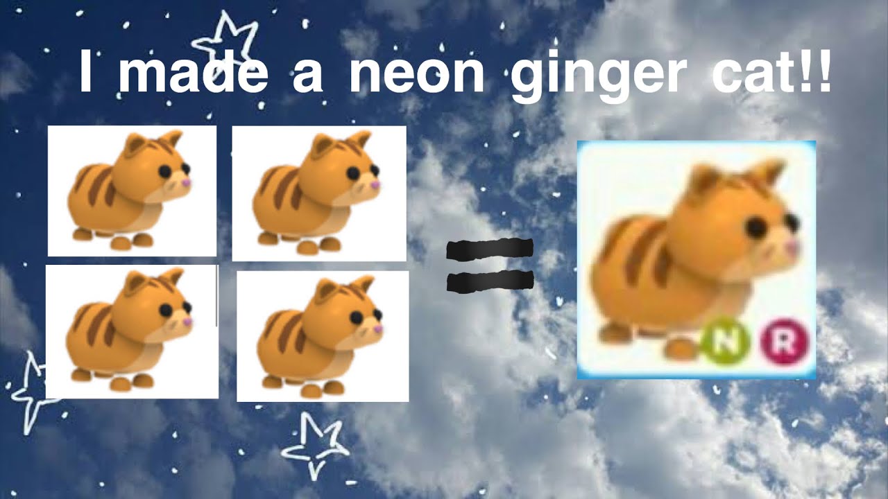 Making a neon ginger cat! - YouTube