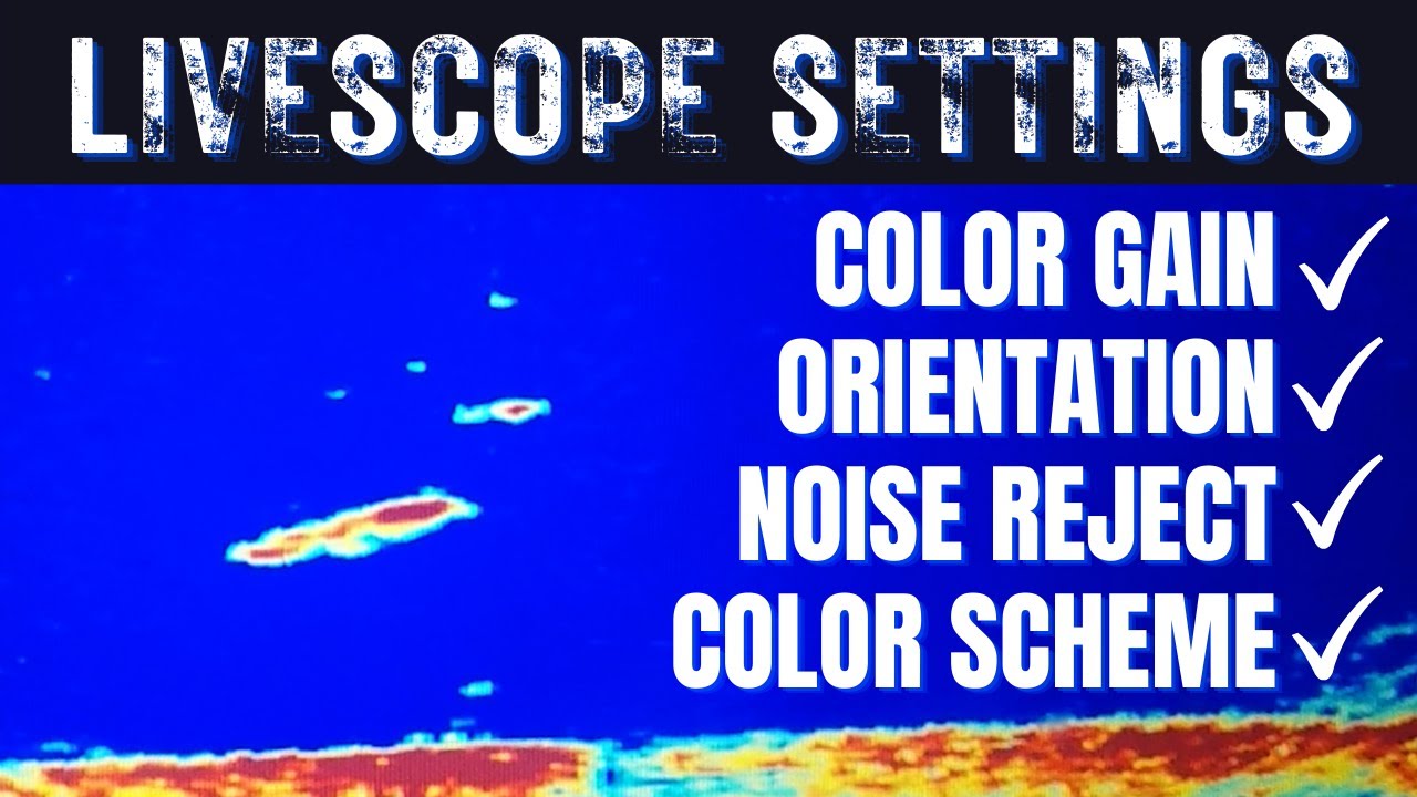 Garmin LiveScope 101: Best Settings For A Clear Picture - YouTube
