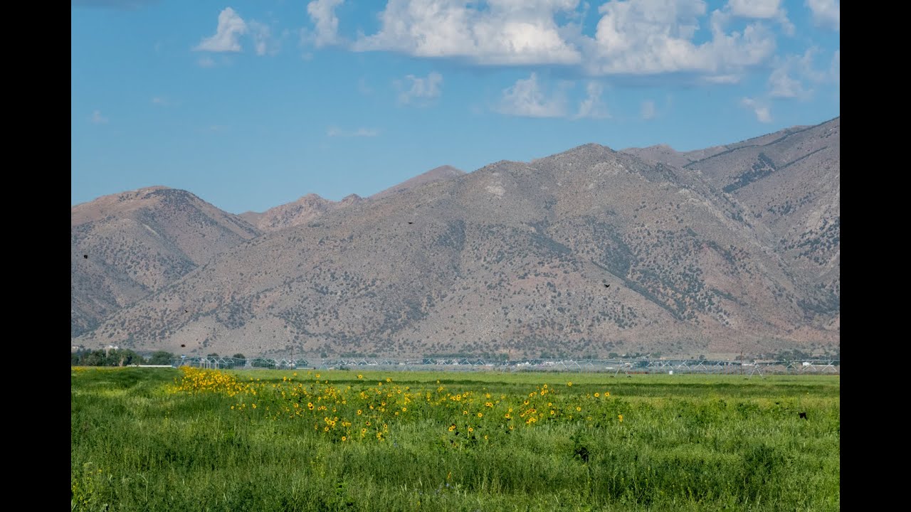 2022 ESAP Region VI Winner - Fulstone Ranches - YouTube
