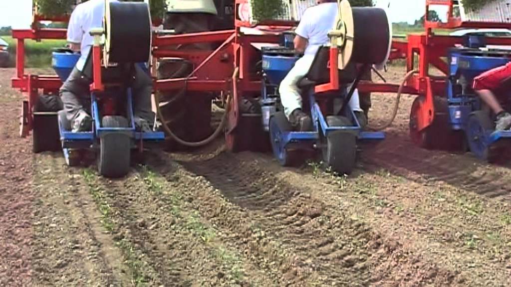 FERRARI TRANSPLANTER - MODEL MULTIPLA - TOMATO DOBLE-LINE - YouTube