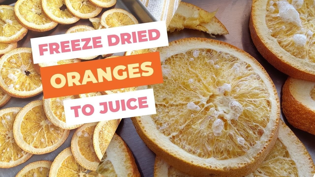 Freeze Drying Oranges - or other Citrus - YouTube