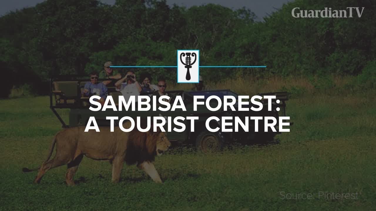 Sambisa Forest: A tourist centre - YouTube