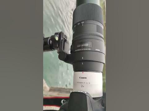 Canon EOS 90D , Sigma 150-600C + Canon EXT 2x lll, on 600mm ( APS-C 960mm) x 2ext = 1920mm - YouTube