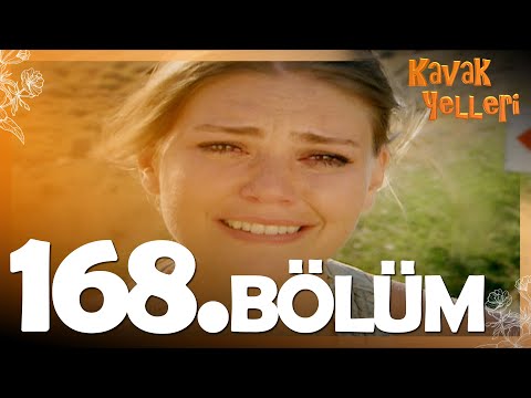 Kavak Yelleri 168. Bölüm - FULL Bölüm