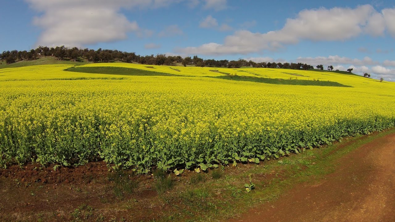 Chittering Valley - Western Australia - YouTube