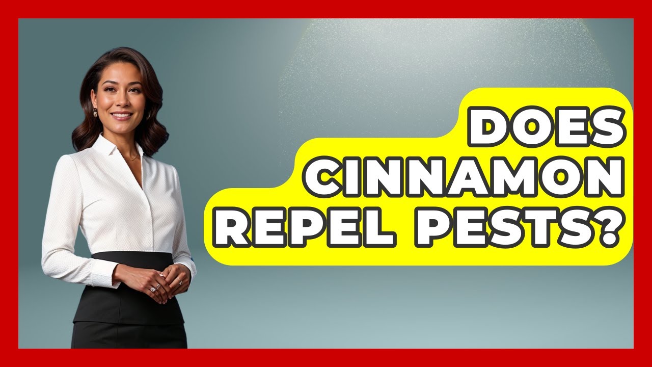 Does Cinnamon Repel Pests? - Insects and Invaders - YouTube