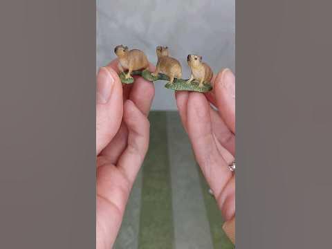 Collecta малыши капибары. Фигурки животных коллекта - YouTube