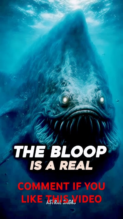 The Bloop is a Real??? #shorts - YouTube