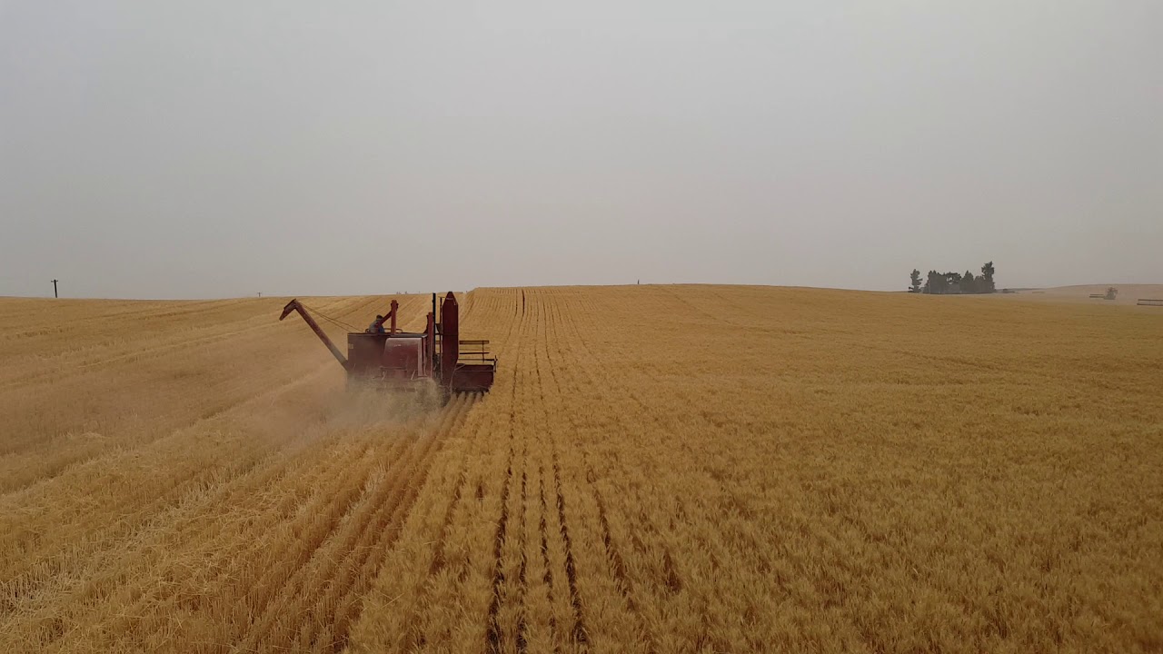 John Deere 55H cutting @ Vintage Harvest - YouTube