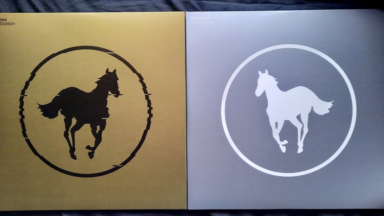 Unboxing: White Pony 20th Anniversary Deluxe Vinyl Box Set - YouTube