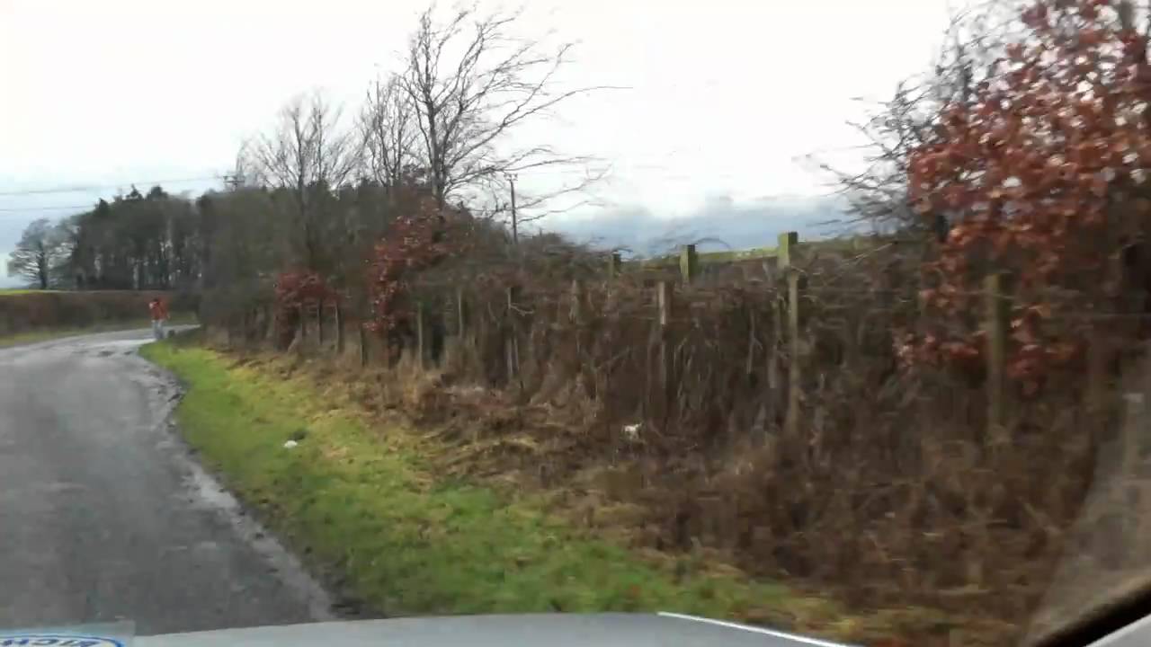 Car, puddle, soaking wet walker and dog !!!!! - YouTube