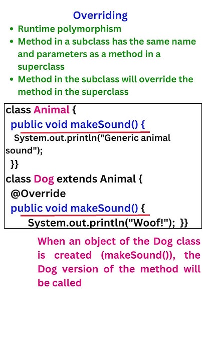 Polymorphism- Java OOPS concept|| Selenium Java - YouTube