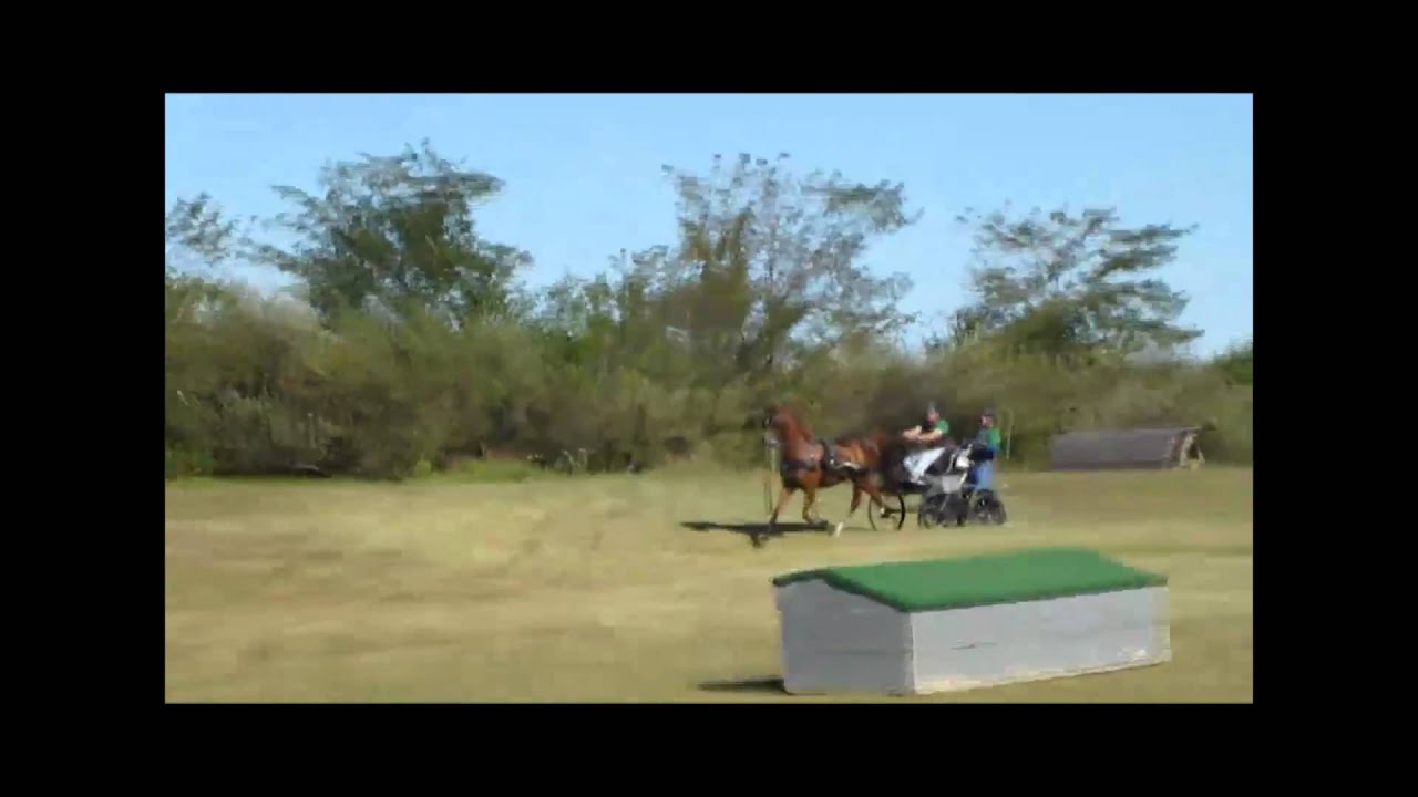 Singsation at Indiana CDE 2010 - YouTube